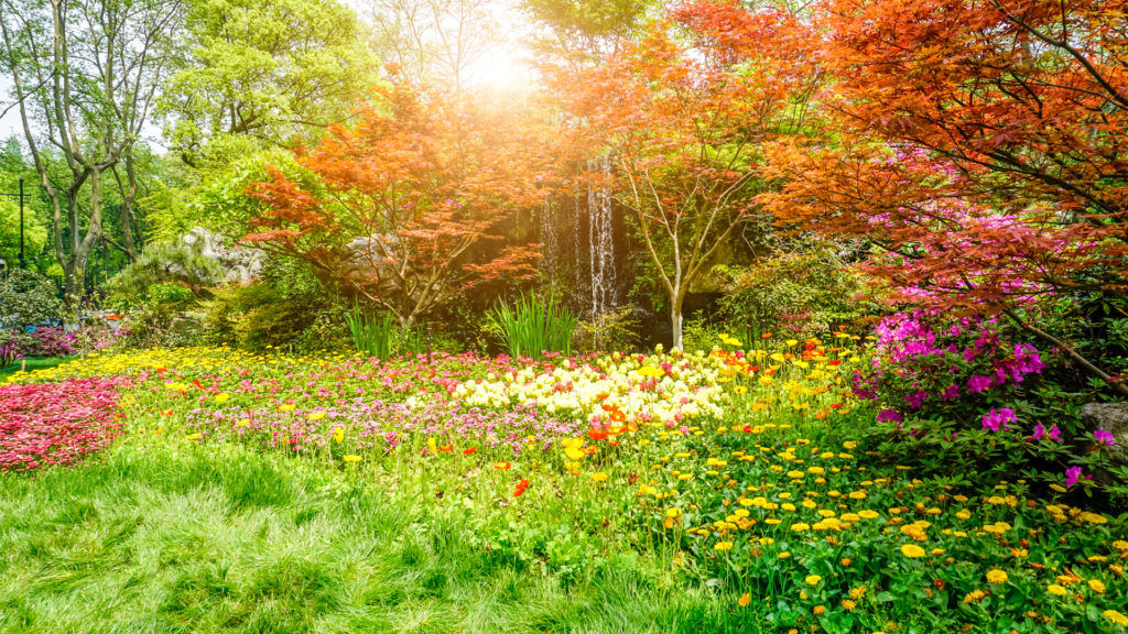 About BAAG - Baag.in