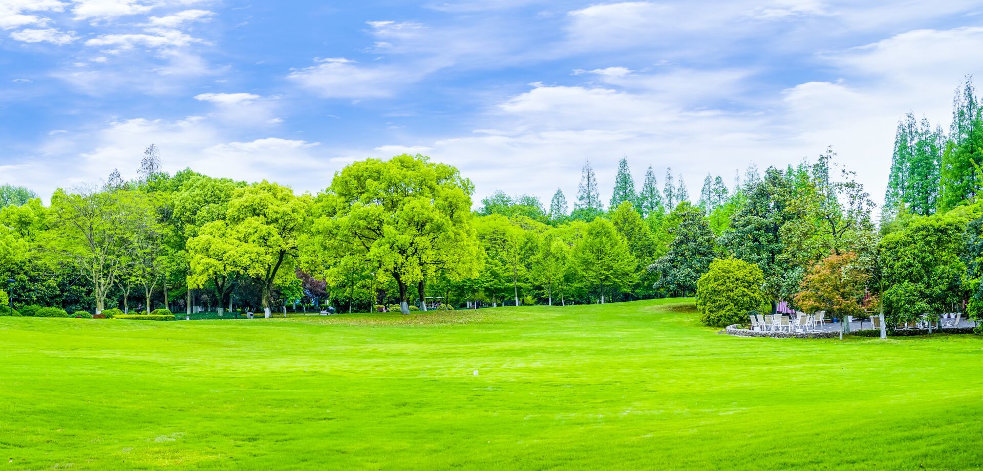 Baag, बाग़, Baag.in